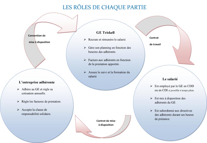 Les Roles De Chaque Partie Groupement D Employeurs Triskell