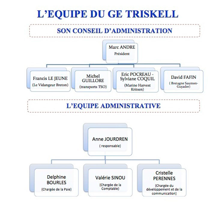 Presentation Du Ge Triskell Groupement D Employeurs Triskell